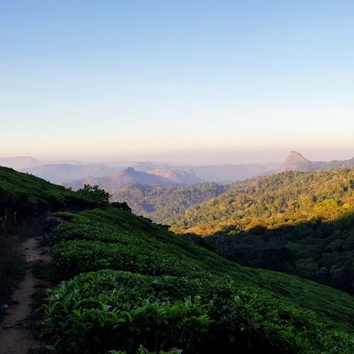 Gallery : The Panoramic Getaway